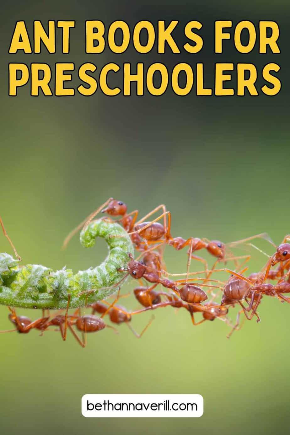 Best Ant Books for Preschoolers | Beth Ann Averill