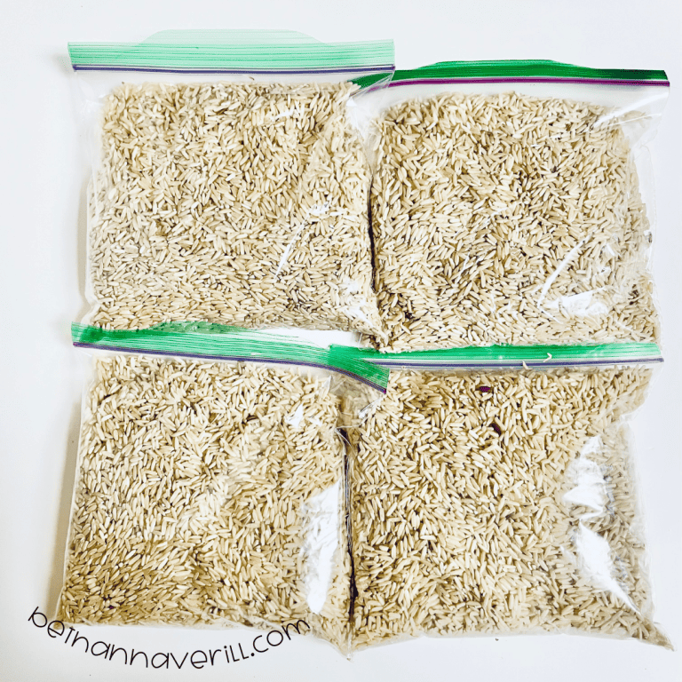 DIY Rainbow Rice: Fun and Easy Guide for Parents | Beth Ann Averill