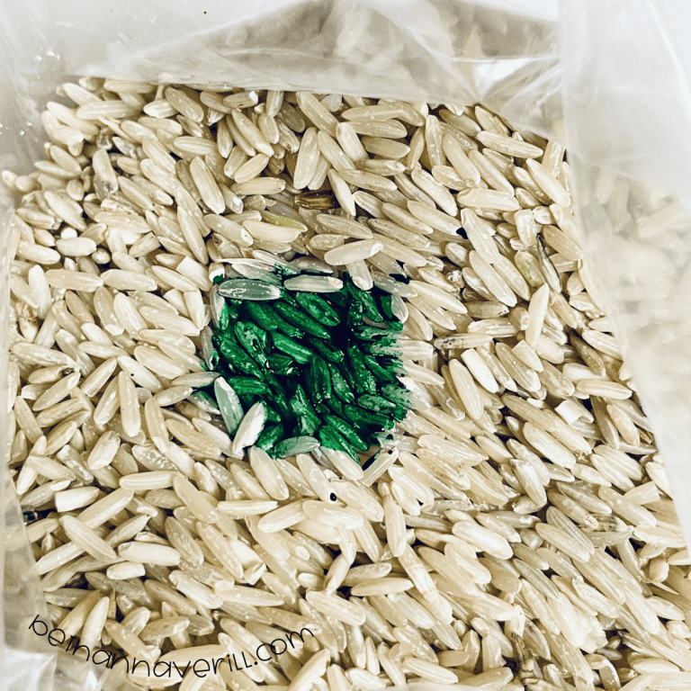 DIY Rainbow Rice: Fun and Easy Guide for Parents | Beth Ann Averill