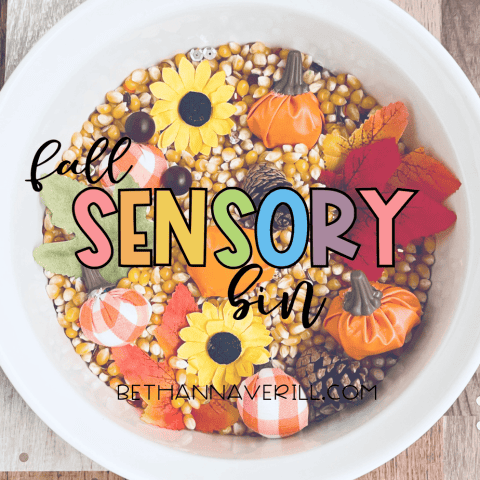 Easy DIY Fall Sensory Bin for Preschoolers | Beth Ann Averill