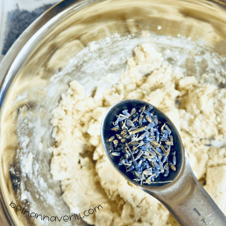 Lavender Playdough Recipe | Beth Ann Averill