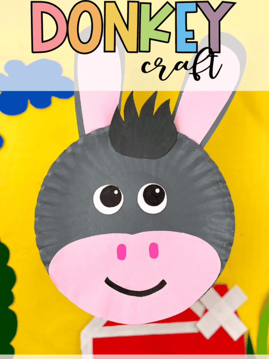 Paper Plate Donkey Mask