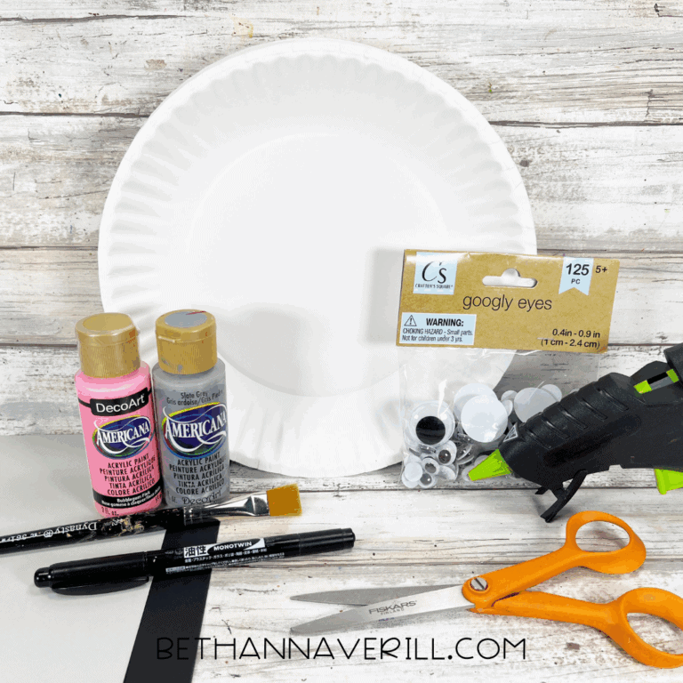 Seal Paper Plate Craft | Beth Ann Averill