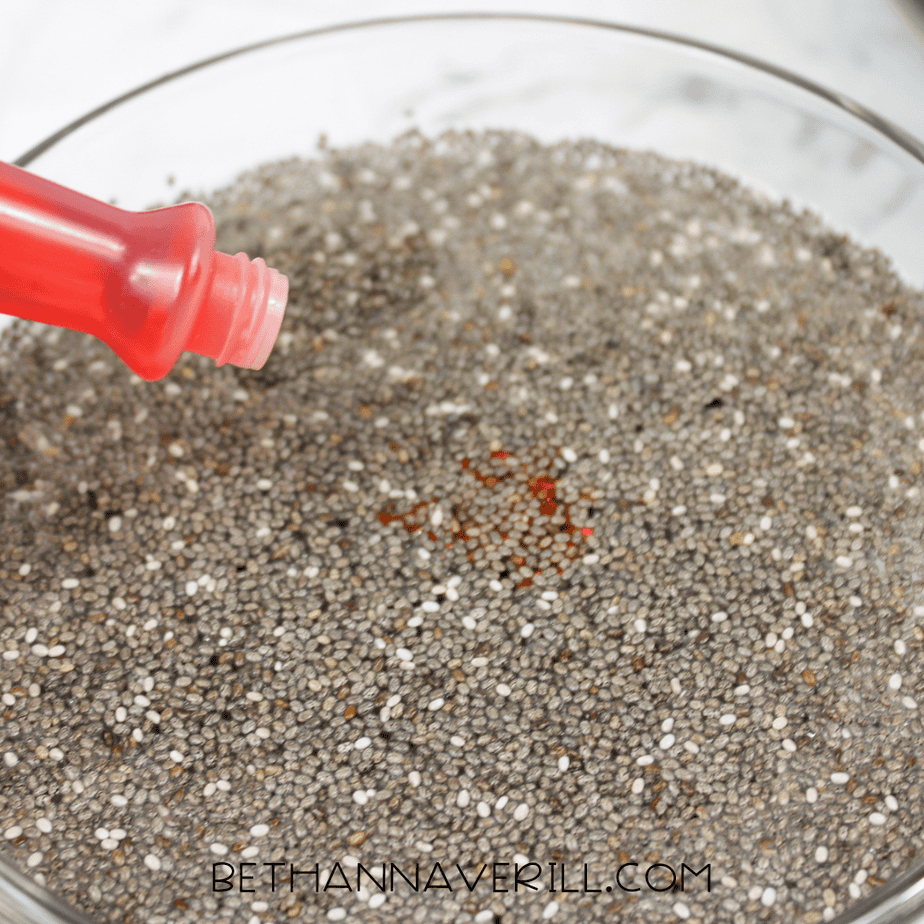 Chia Seed Bug Sensory Bin | Beth Ann Averill