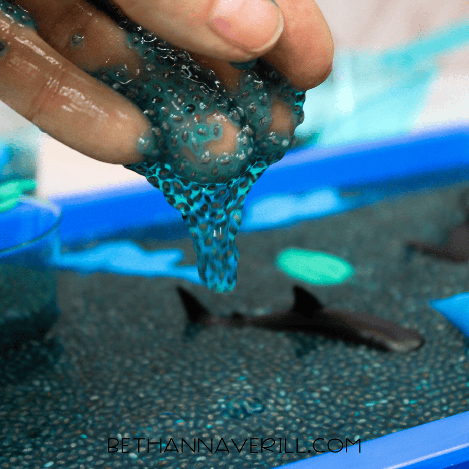 Chia Seed Ocean Sensory Bin | Beth Ann Averill