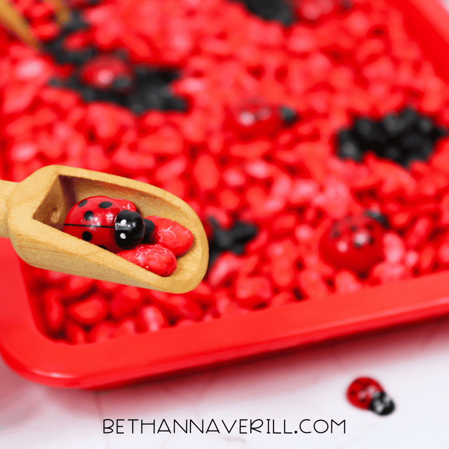 Ladybug Sensory Bin | Beth Ann Averill
