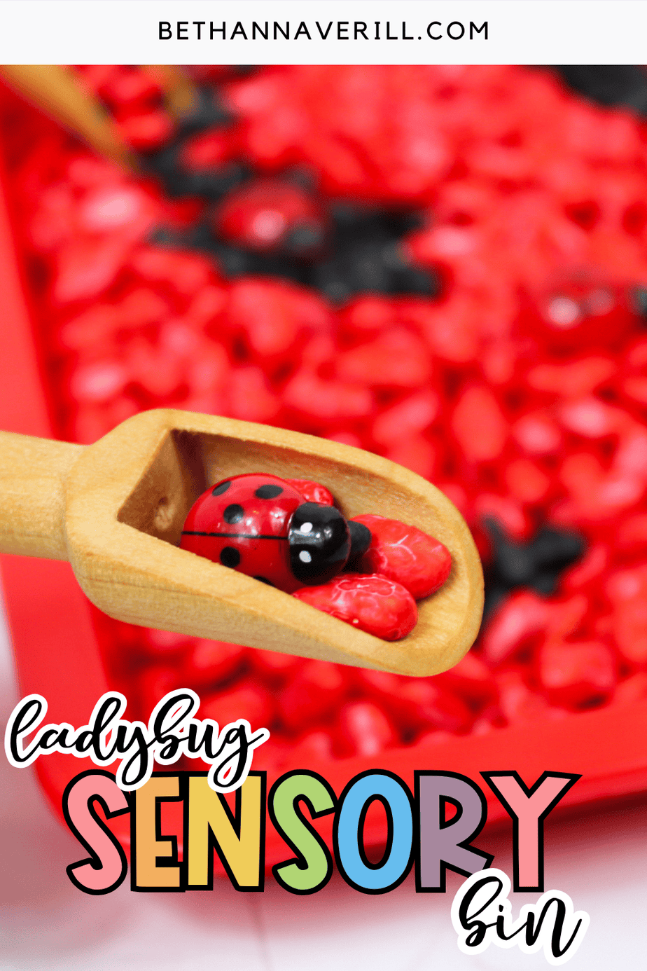 Ladybug Sensory Bin | Beth Ann Averill